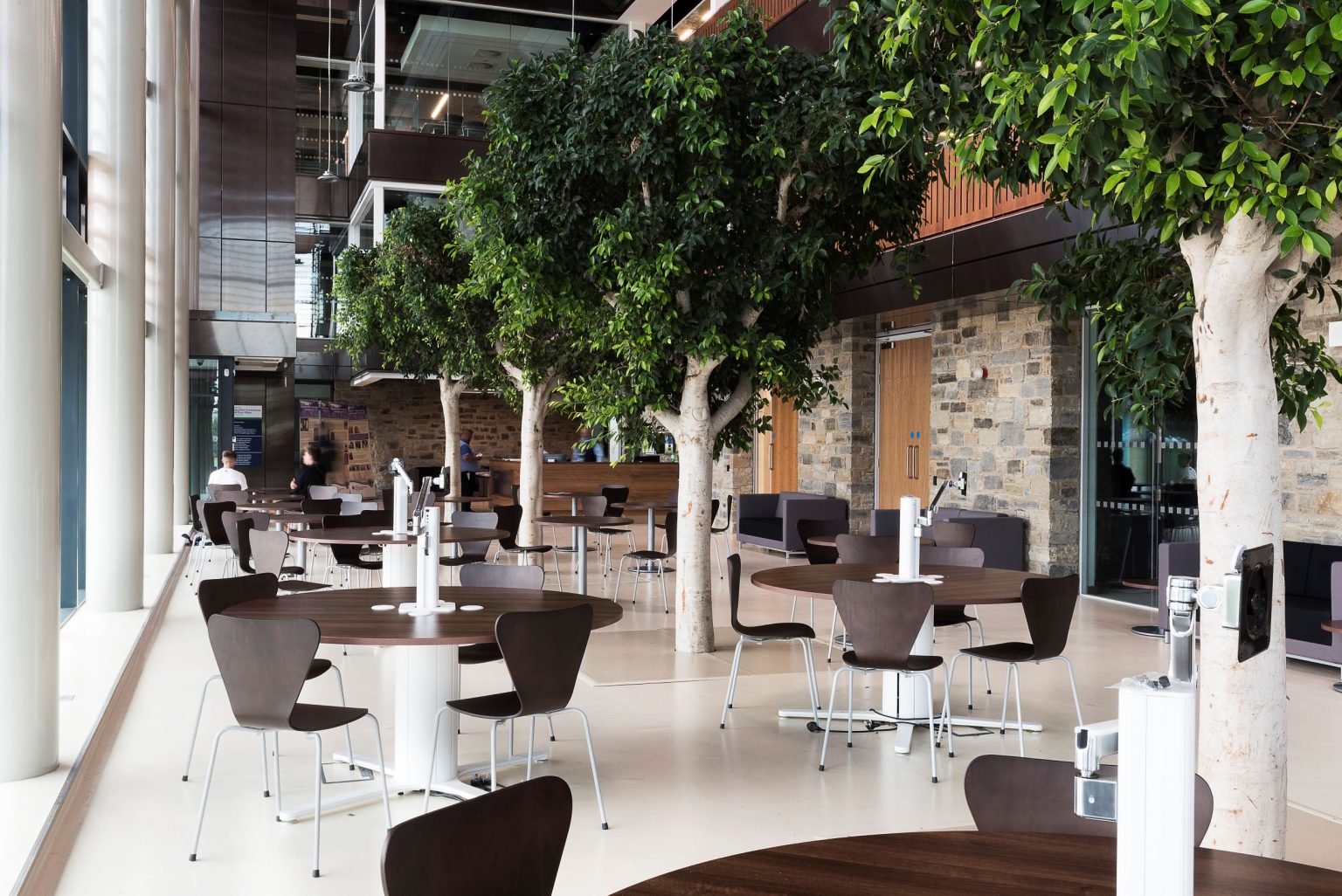 About | Hamilton Architects